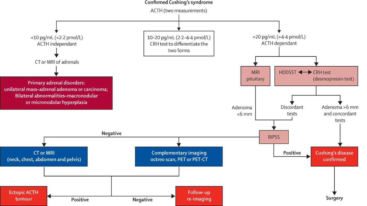 Cushing’s Syndrome: Celebs & the Buffalo Hump Effect